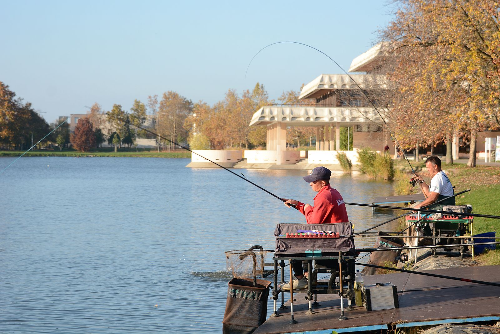 Székesfehérvár Városportál - Pályázati kiírás városi tavak használatba ...